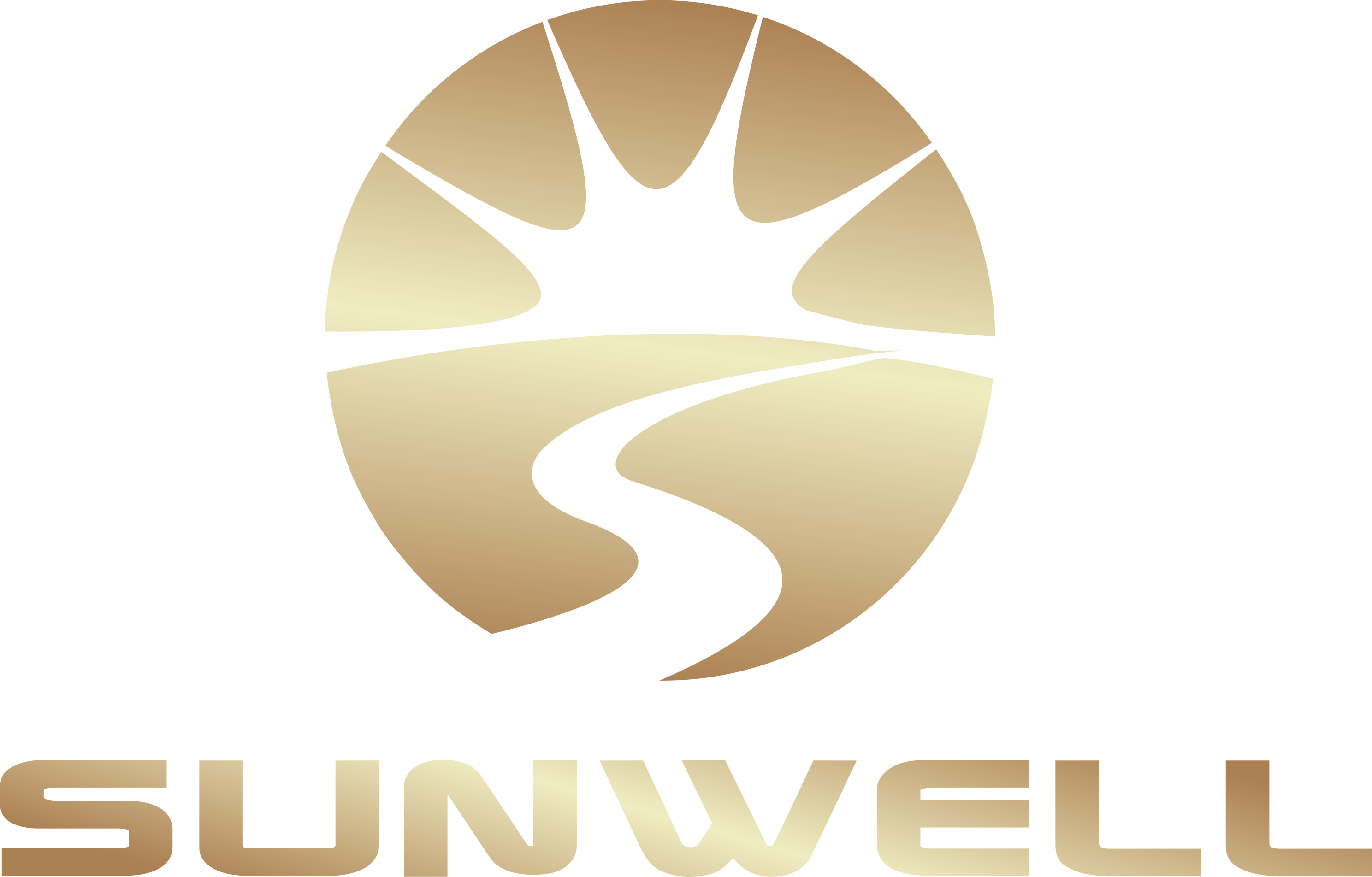 SUNWELL INTERNATIONAL-Sichuan Sunwell International Co., Ltd. (SCSWIT ...